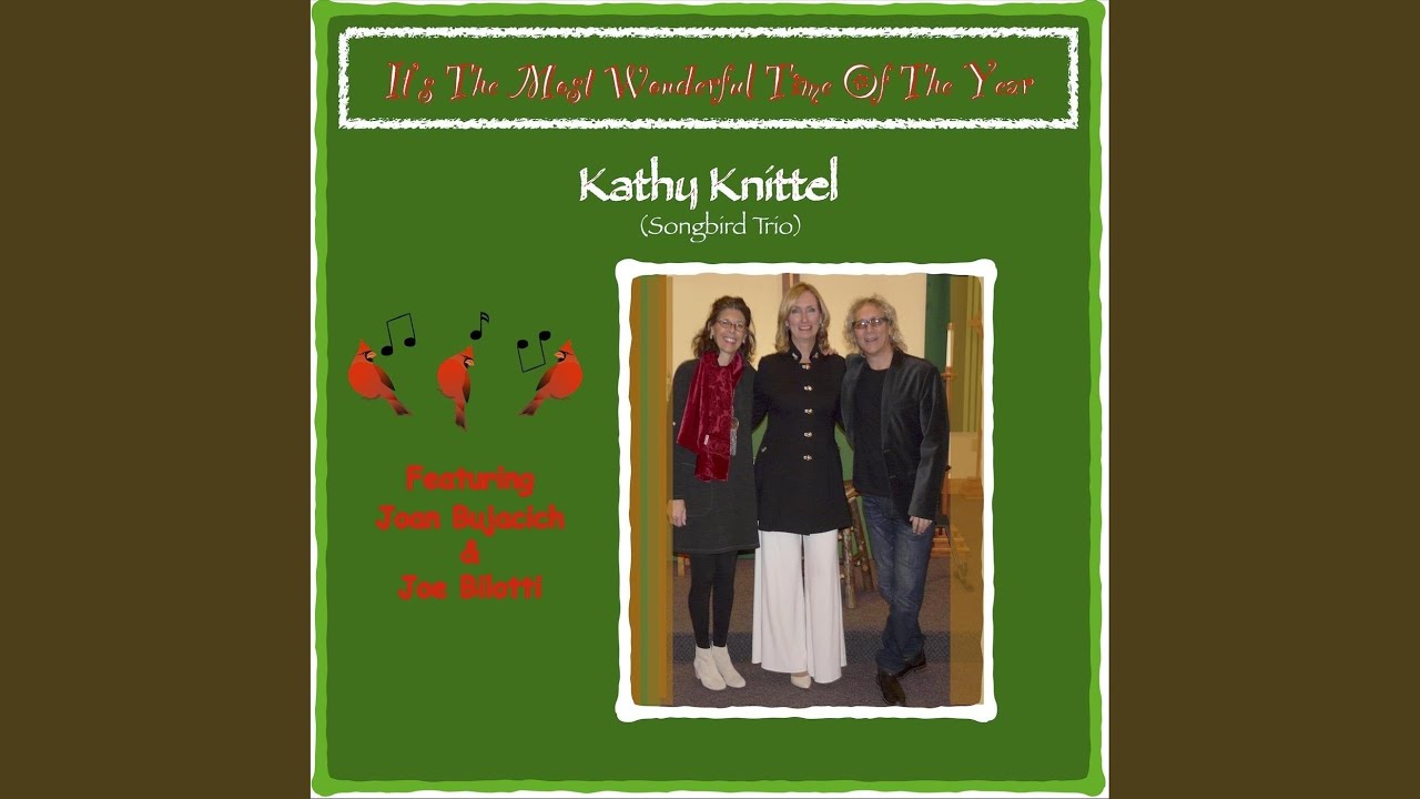 It's the Most Wonderful Time of the Year (feat. Joan Bujacich & Joe ...