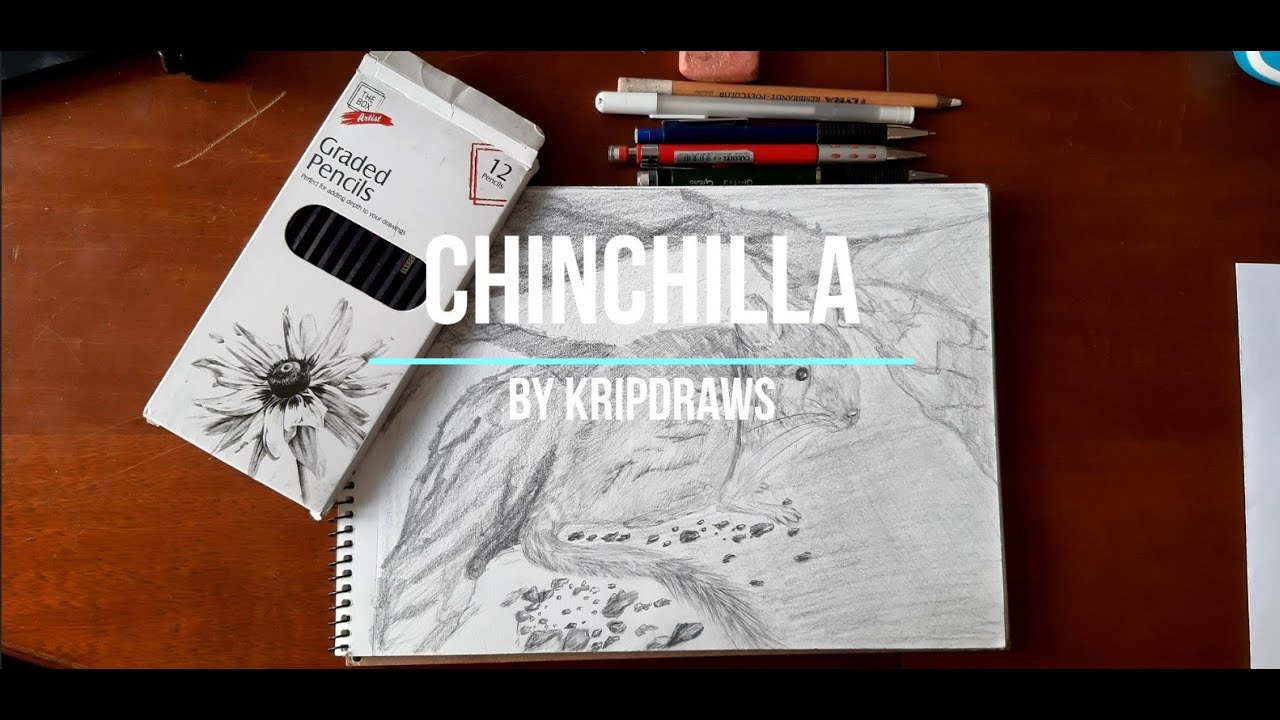 Drawing a Chinchilla (timelapse) [Pencil Art] - YouTube