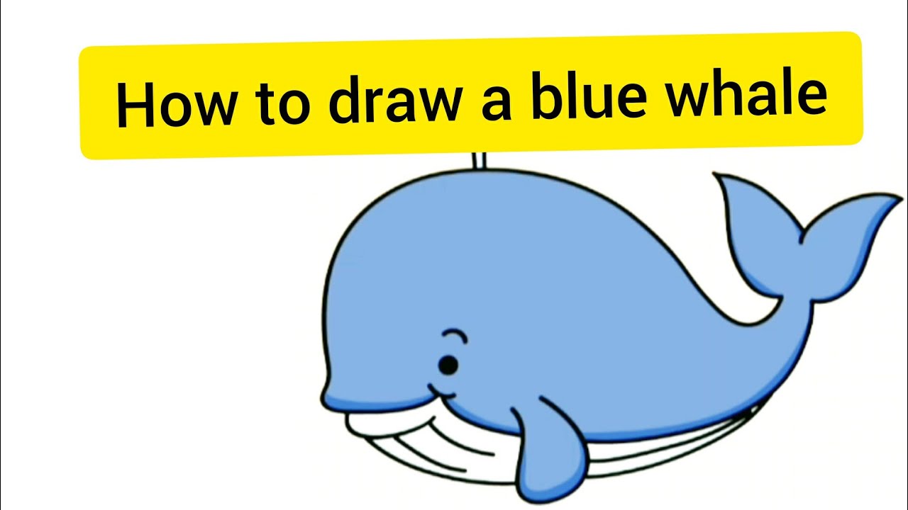 How to draw a blue whale step by step - YouTube