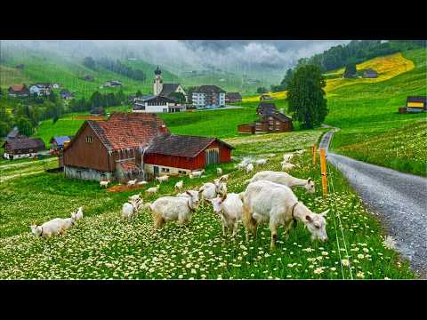 🌧️ İsviçre’nin en güzel köyünde yağmur altında huzurlu bir yürüyüş 🇨🇭 Rahatlatıcı 4K Atmosfer🏔️