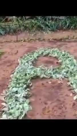 proud to be a botany student from Andhra University ️ - YouTube
