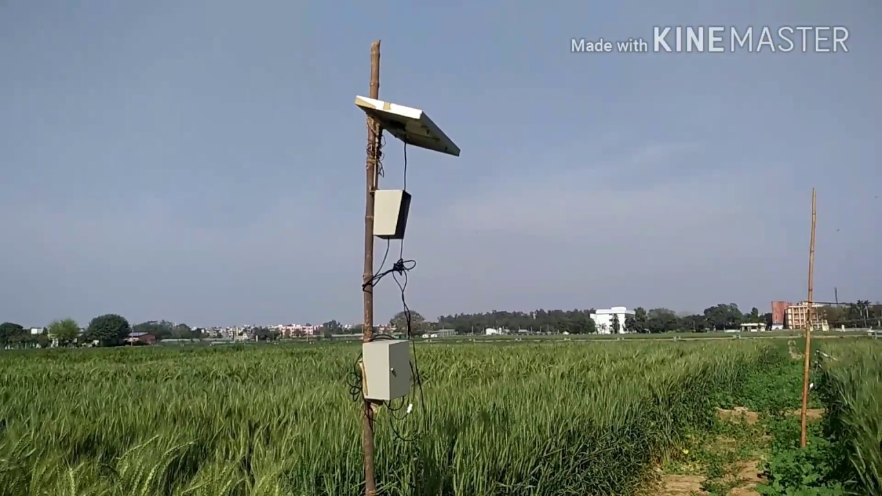 Amazing Bird Scaring Device for Any Crop - YouTube