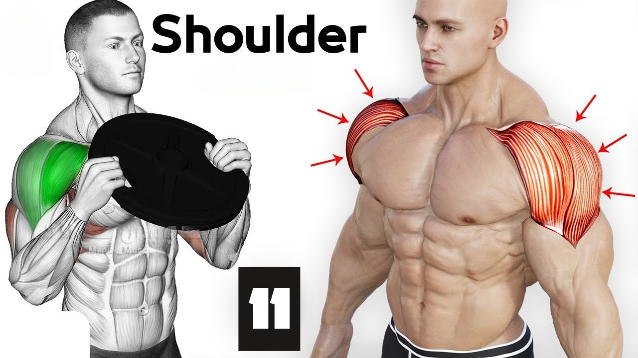 Top 11 Exercises to Build Bigger Shoulders - YouTube