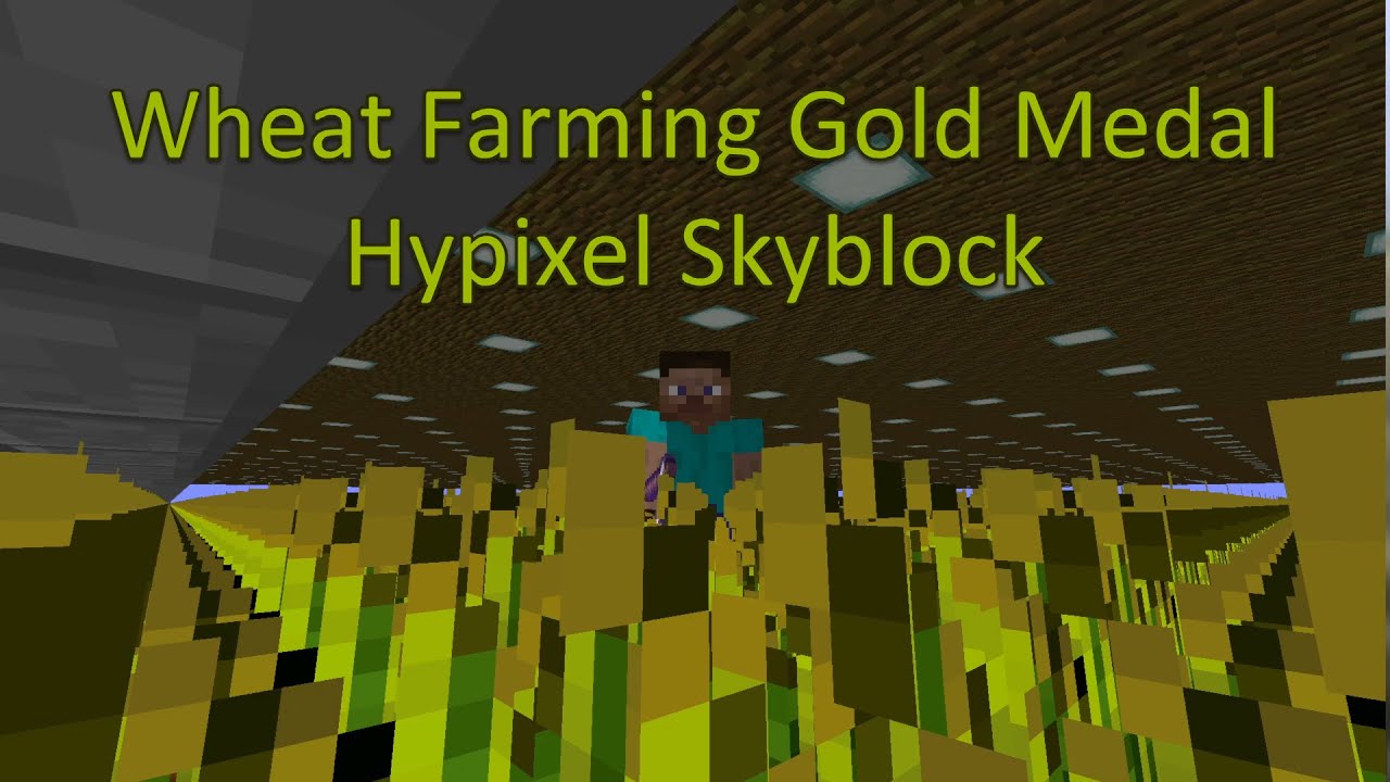 Gold Medal Wheat Farming (Hypixel Skyblock) - YouTube