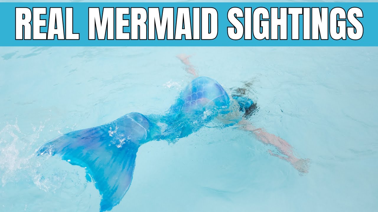 Top 8 Real Mermaid Sightings, Caught on Video - YouTube