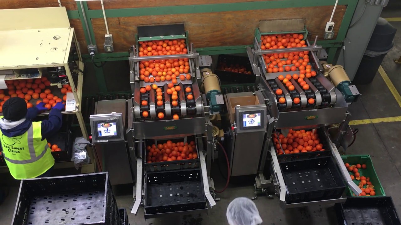 Valley Packline Solutions - YouTube