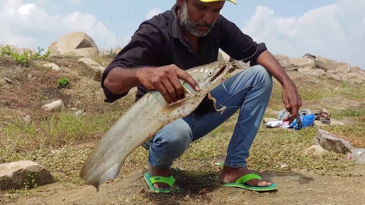 unquie Patan fish catch | big valuga fish | good technique use catch ...