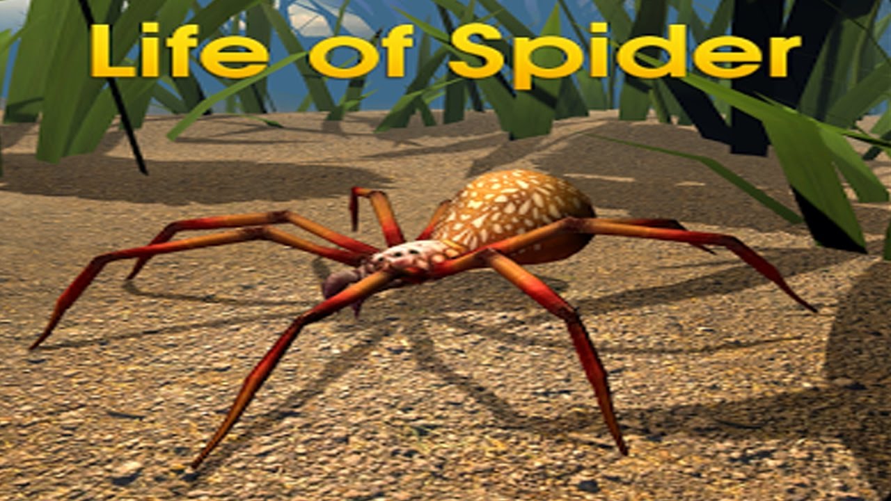 Life of Spider Android Gameplay #2 - YouTube
