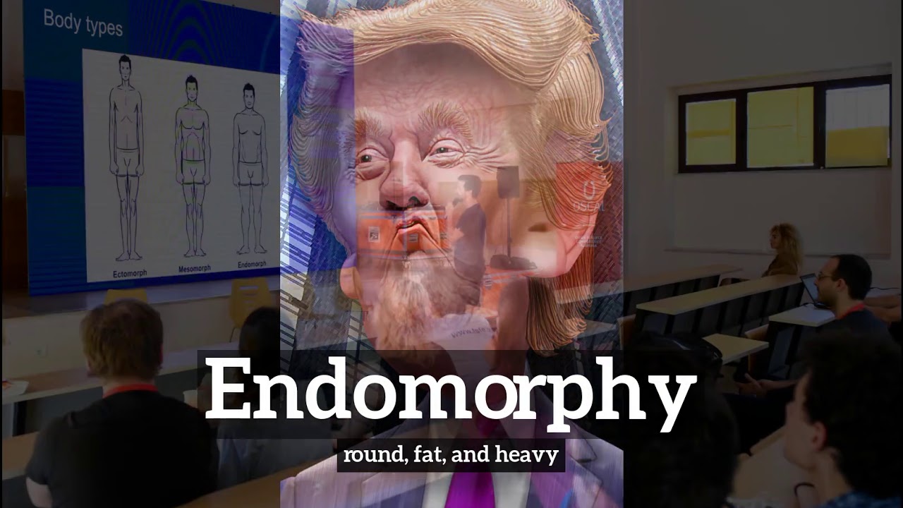 What is Endomorphy? | How to Say Endomorphy in English? | How Does ...