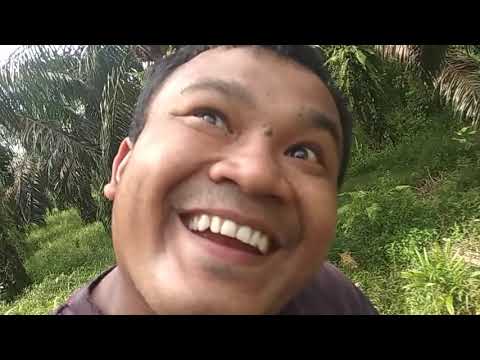 Nyemberang air pinau