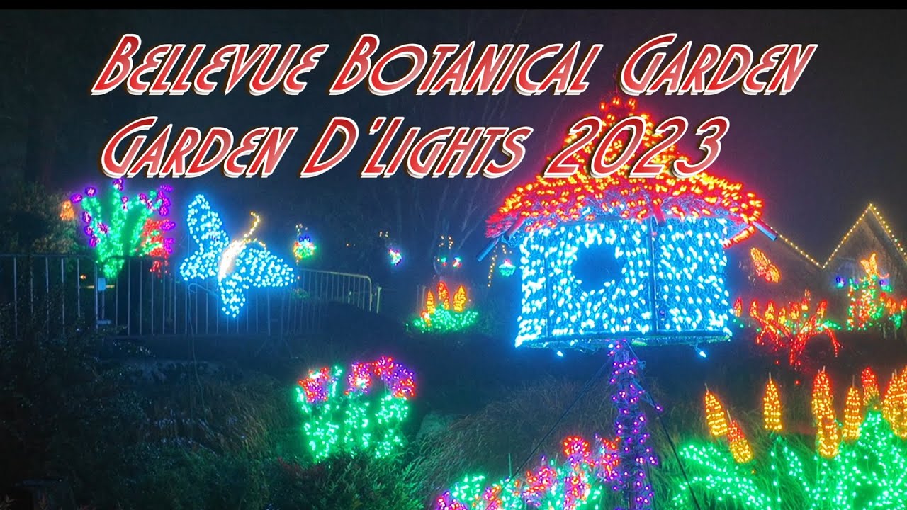 Bellevue Botanical Garden: Garden D'Lights 2023 Christmas Lights Display - YouTube