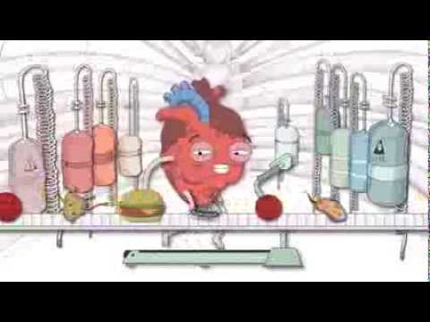 The Body Machine - YouTube