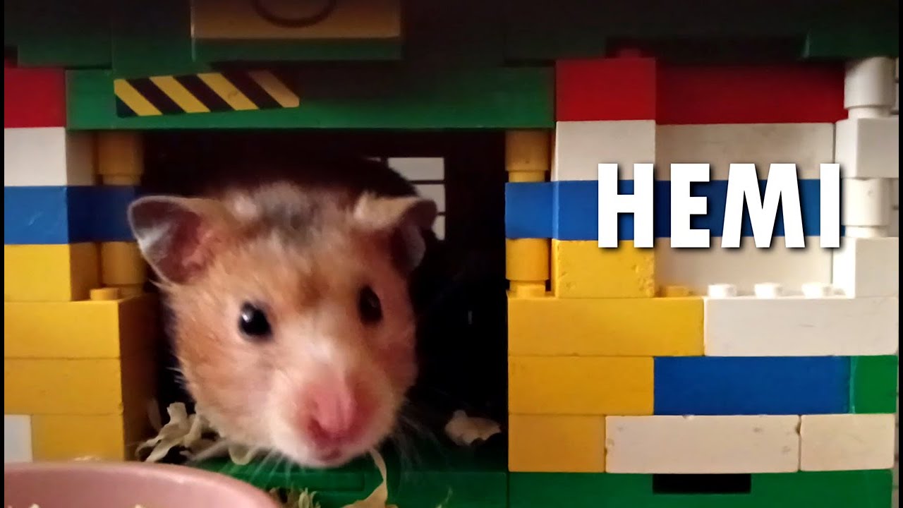 Hemi - Edwin Leonard - YouTube