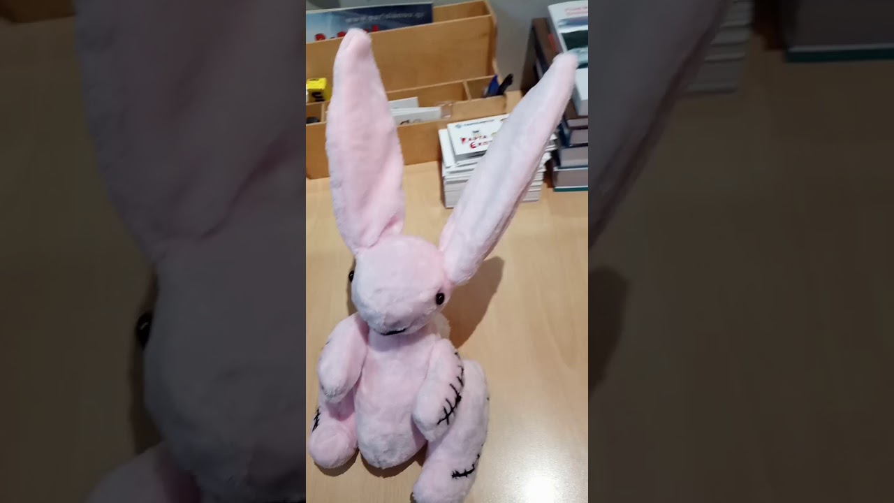 The Pink Rabbit - YouTube