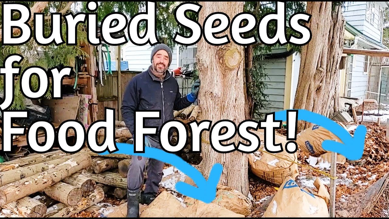 THOUSANDS of Seeds... BURIED in Leaves!! - YouTube