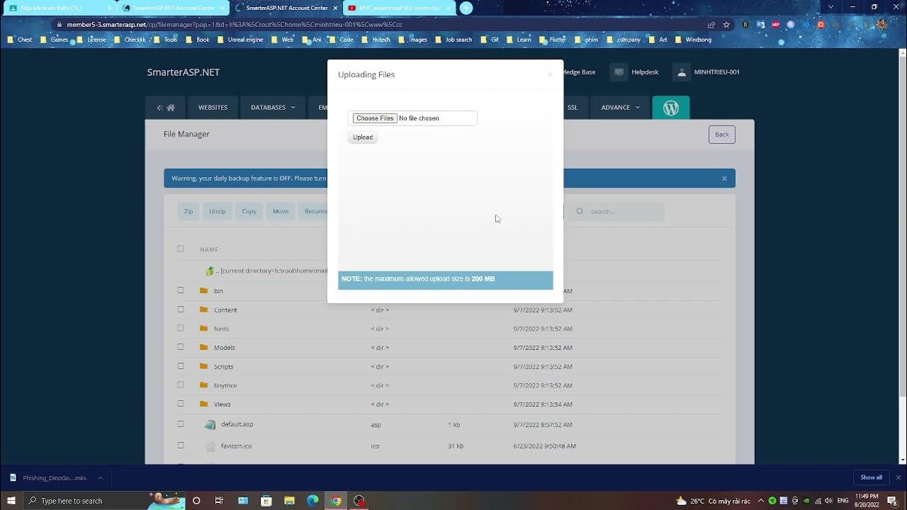 Domain hosting with smarterasp.net - YouTube
