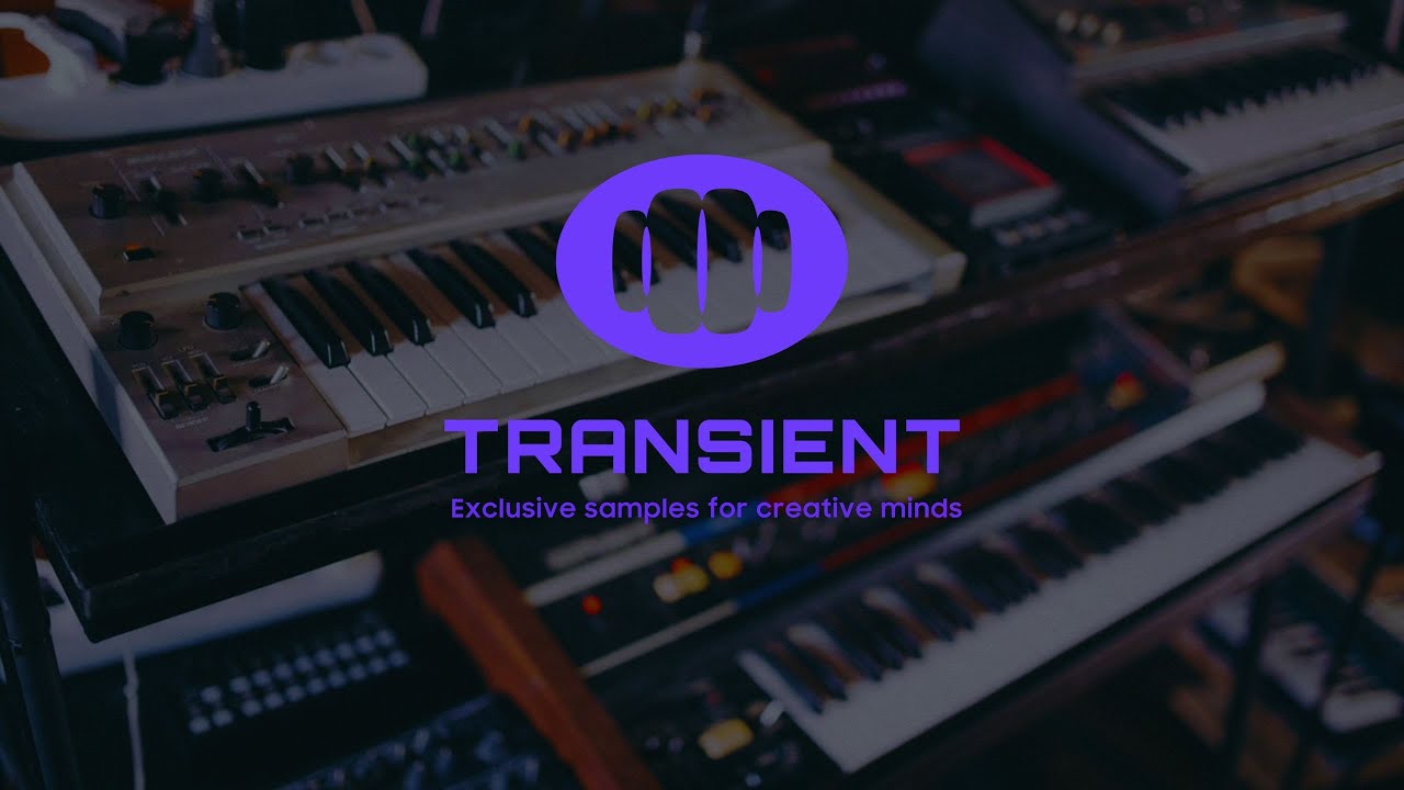 Transient samples boutique for creative minds - YouTube