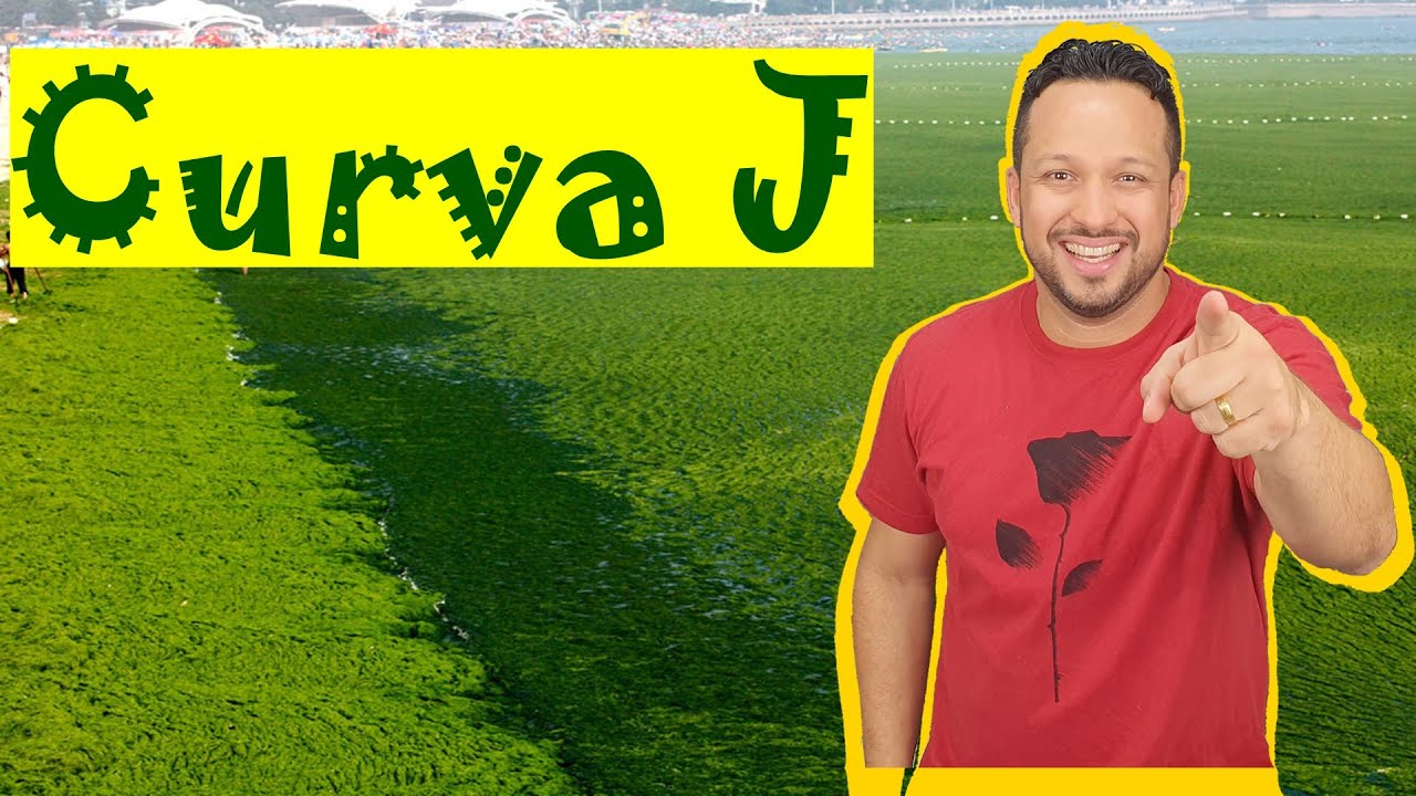 Curva J - Tipos de Curva de Crescimento Populacional - Dinâmica ...