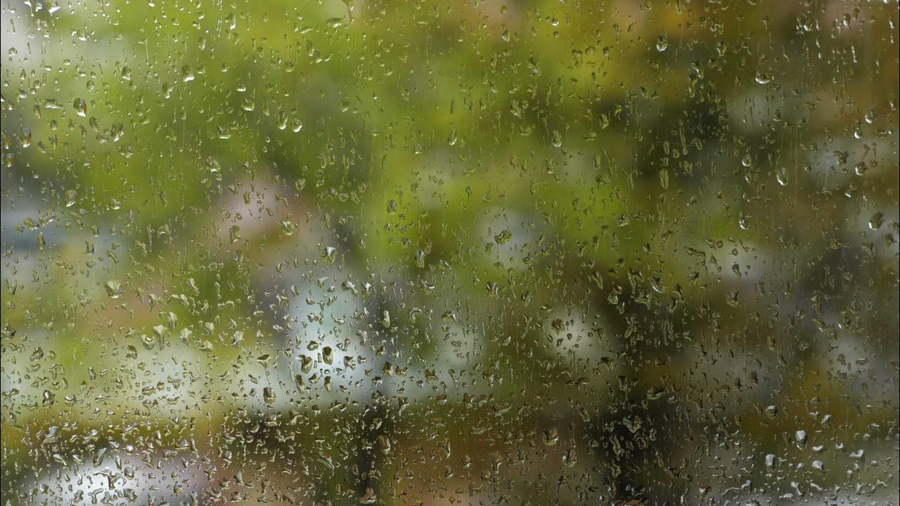 Rain Sounds for Relaxing, Focus or Deep Sleep Nature White Noise #simulation #vjloopbackground ...