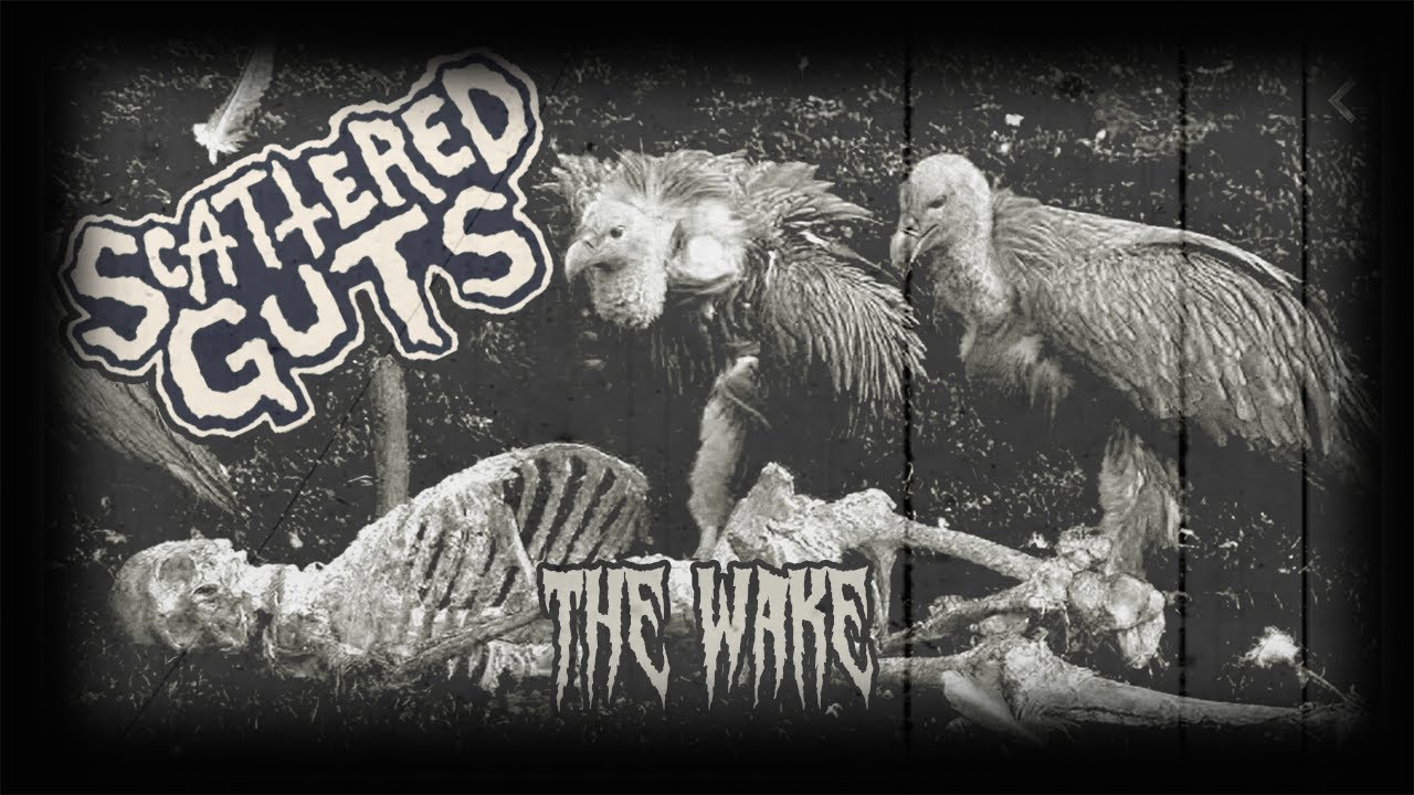 Scattered Guts - The Wake | Lyric Video - YouTube