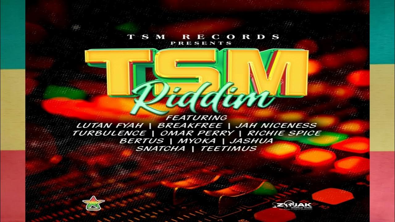 Reggae mix - Tsm riddim mix (Richie Spice /Turbulence /Omar Perry / Lutan Fyah / Jashua / Bertus ...