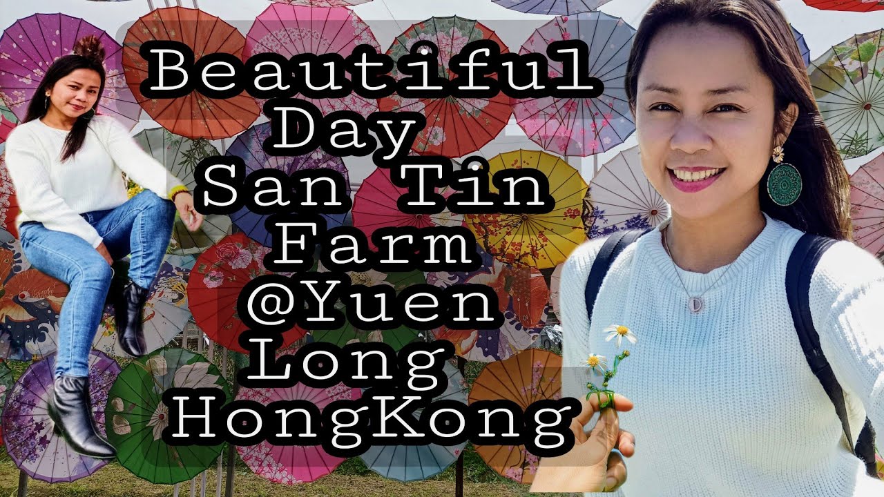 Shun Sum Yuen Farm @ San Tin Sunflower Farm Hong Kong. How to get there ...