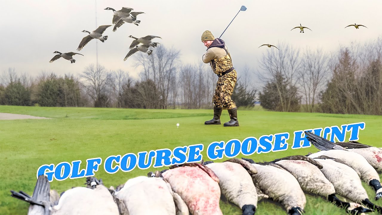 Goose Hunting a GOLF COURSE in Iowa (Multiple Bands) - YouTube