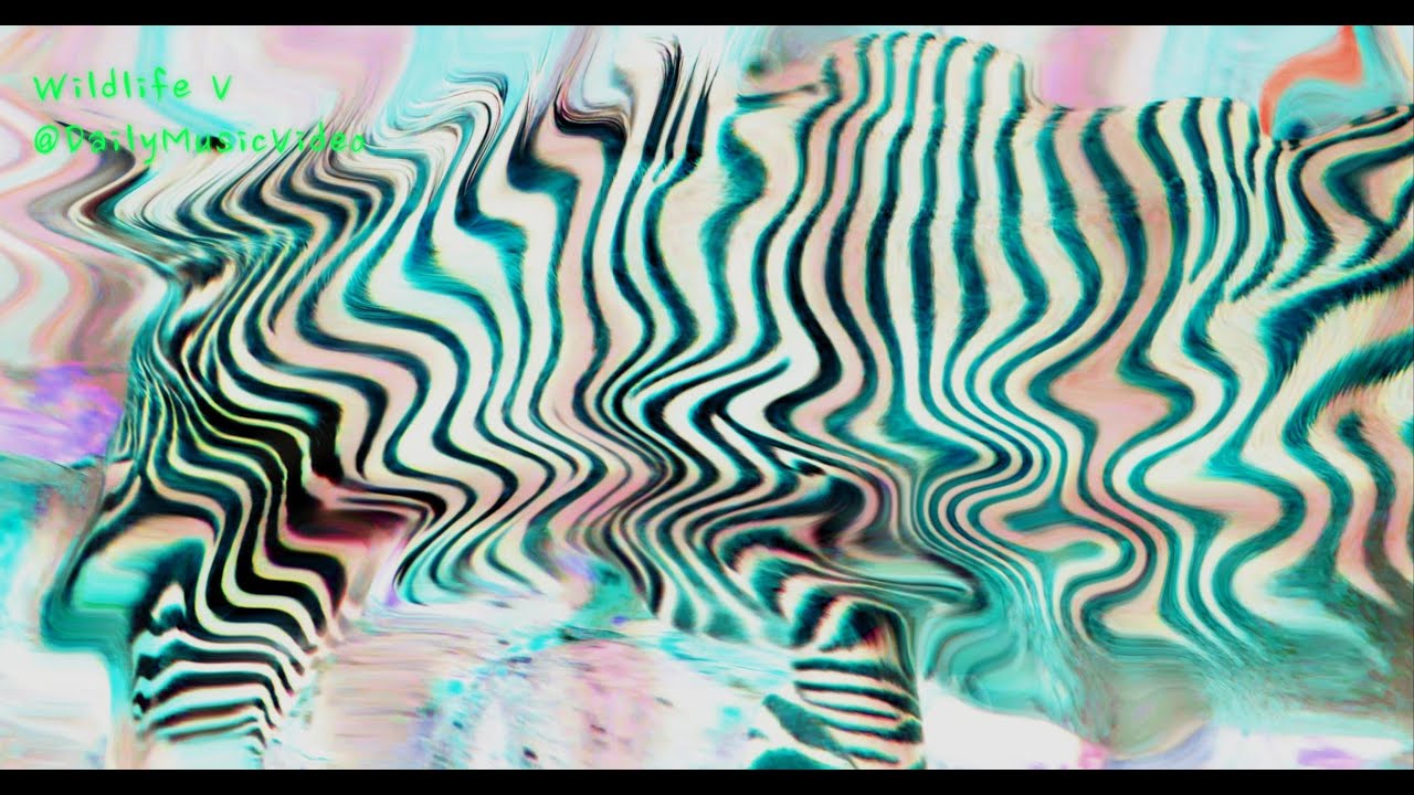 Wildlife V @DailyMusicVideo: Bring Peace To Earth and Save Wilderness ...