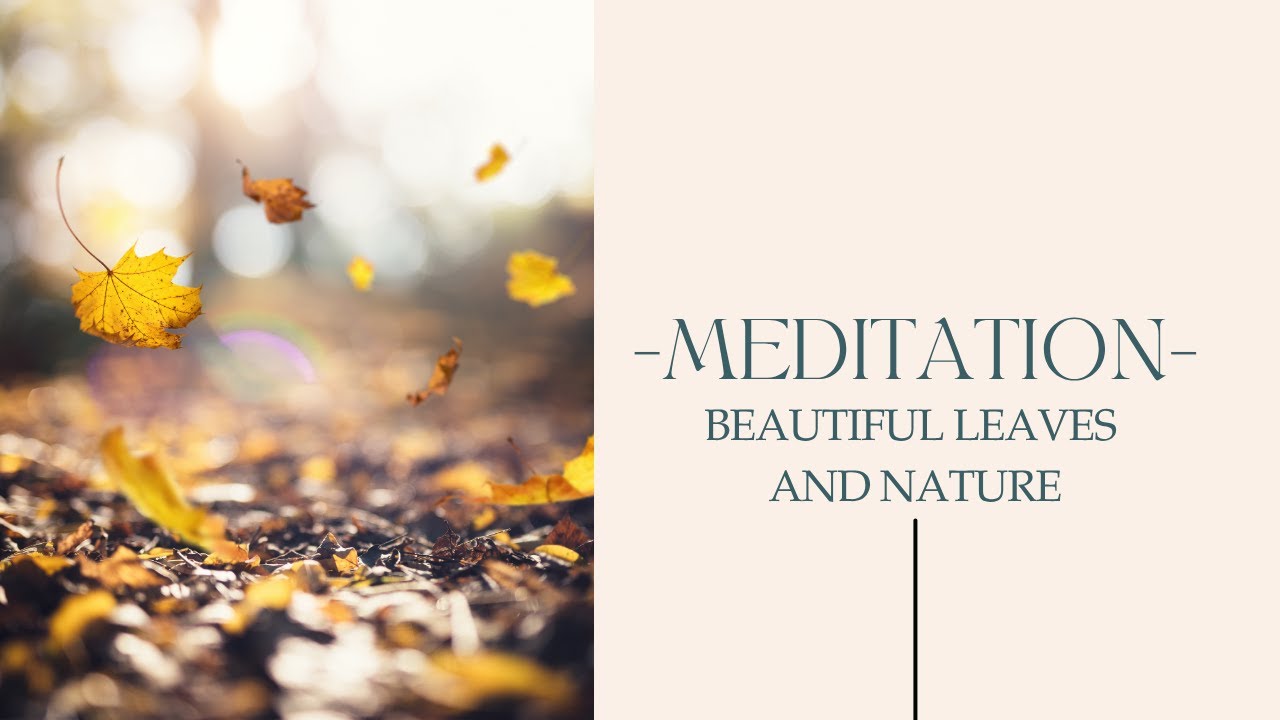 Meditation Beautiful Leaves and Nature - YouTube