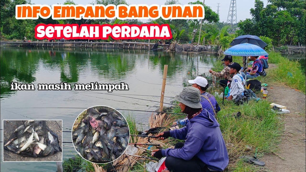 info mancing marunda terbaru || Empang panjang bang unan - YouTube
