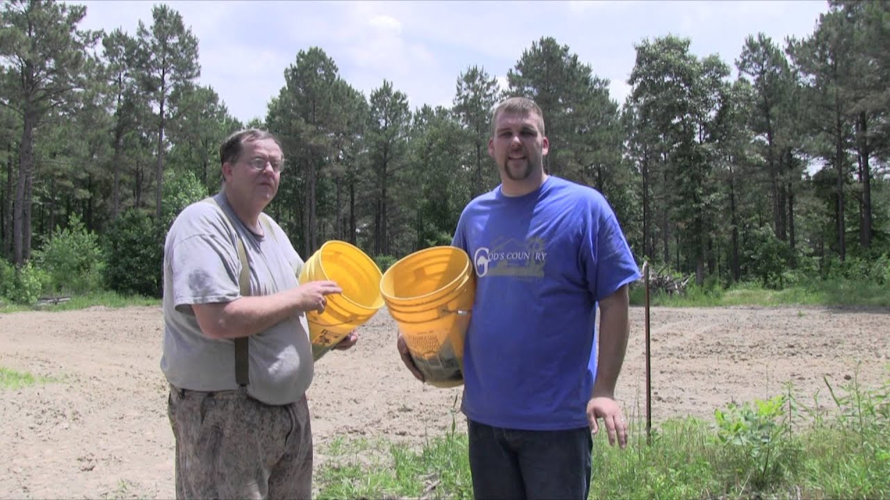 Killer Food Plots - YouTube