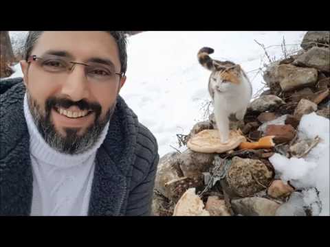Ben bu sevdaya ömrümü,canımı,sola yanımı verdim...ömer hançeri...şiir süper
