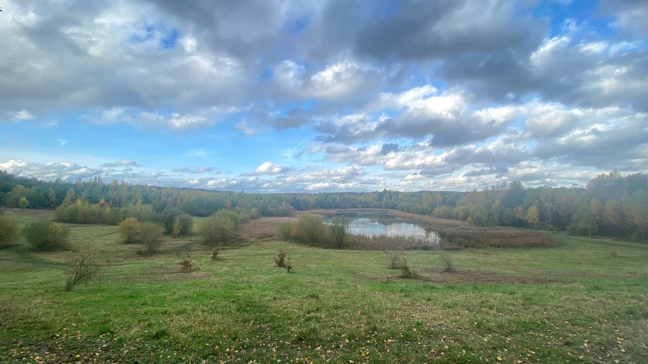 The Forge Nature Reserve - YouTube