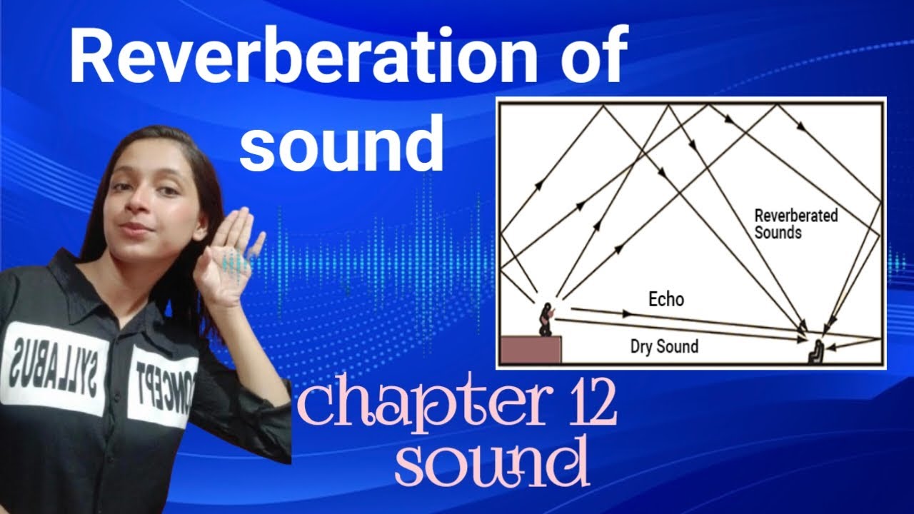 Reverberation of sound | multiple reflection of sound | class 9 ...
