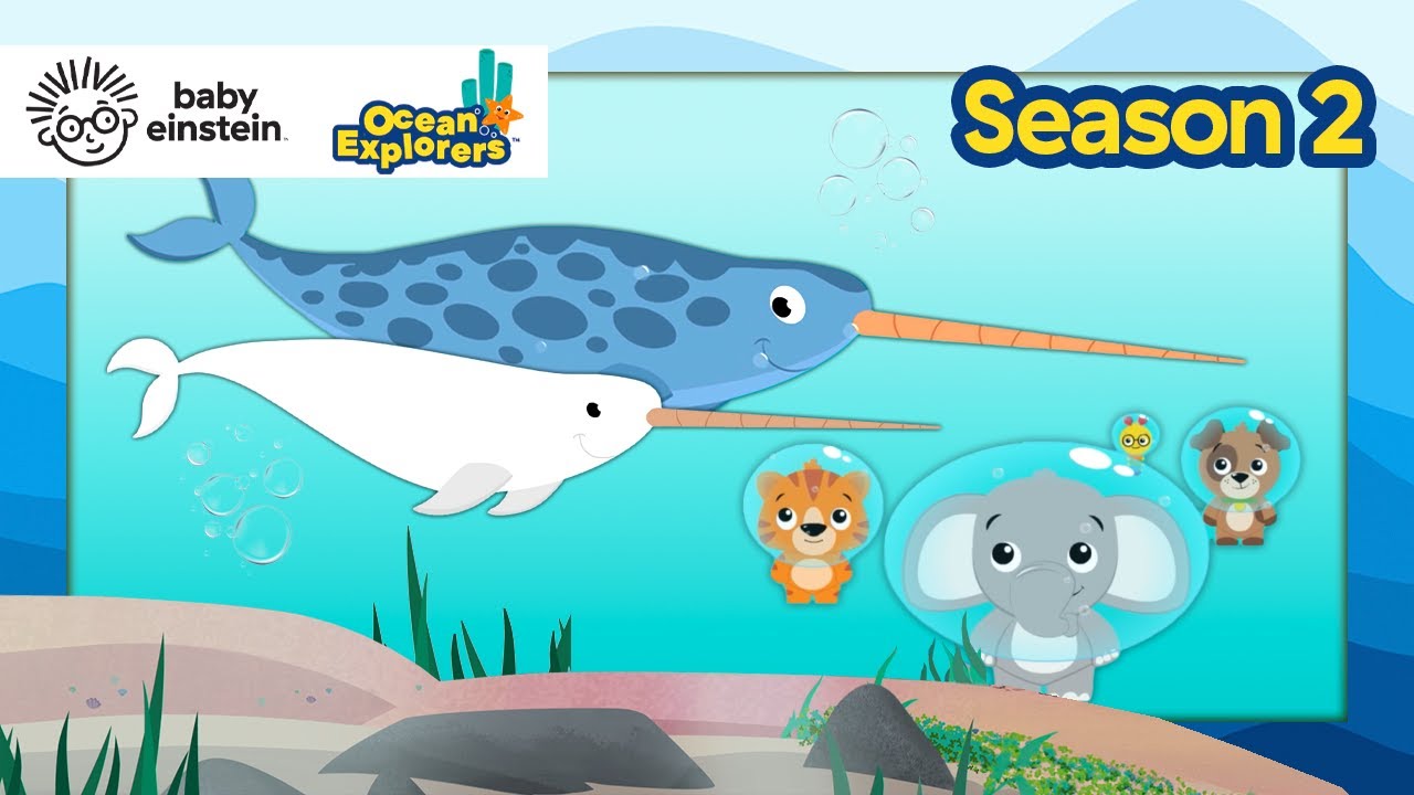 Let's Explore: Patterns with Narwhals! | Ocean Explorers Season 2 ...