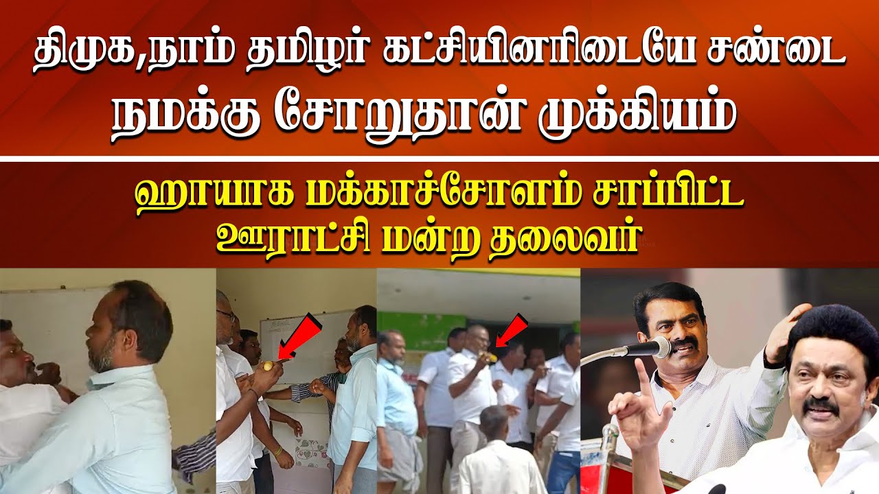 திமுக மற்றும் திமுக மற்றும் நா.த.க கட்சி சண்டை...ஹாயாக மக்காச்சோளம் ...