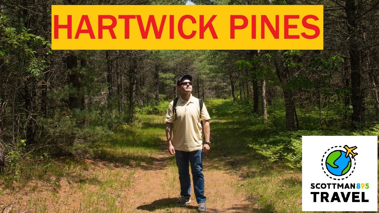 How to Visit Hartwick Pines State Park | Michigan State Parks - YouTube
