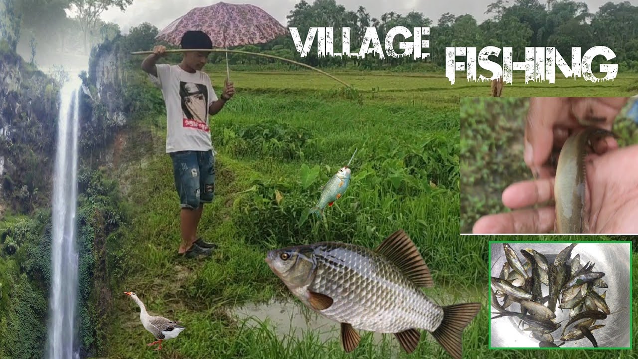 ASSAM ( Village Fishing Video ! Traditional Hook Fishing in River - YouTube