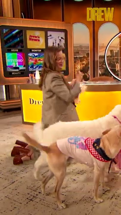 Drew Barrymore's Dogs Try On Dolly Parton's Pet Clothes | The Drew ...