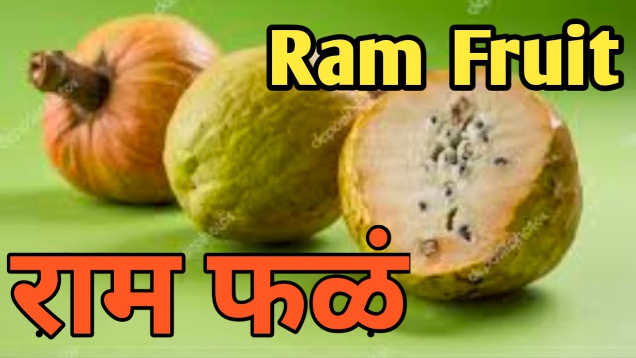 Ram Fruit Benefits - राम फळं | Ram Fal Vlog | Ram fruit Vlog | - YouTube