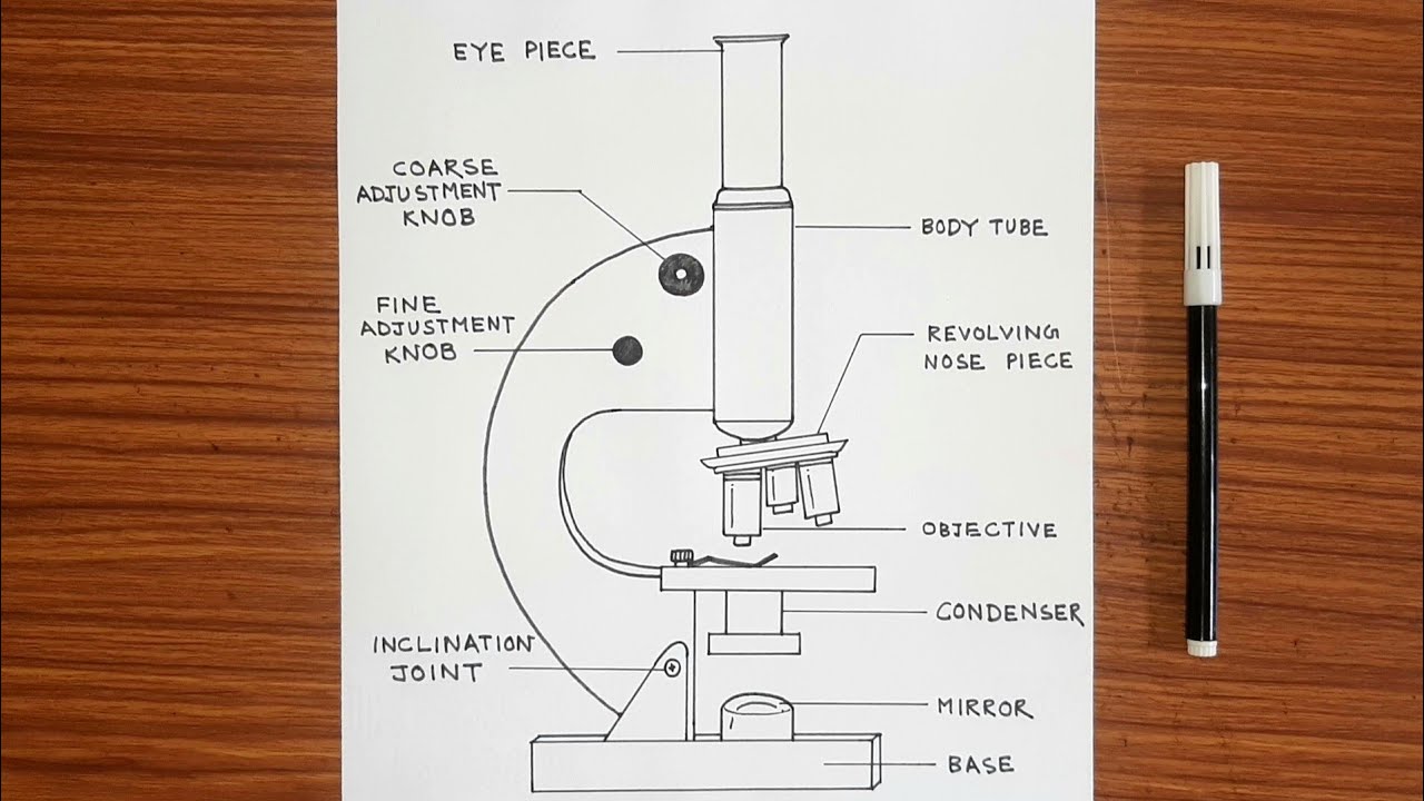 Microscope drawing easy | অনুবীক্ষণ যন্ত্র আঁকা | - YouTube