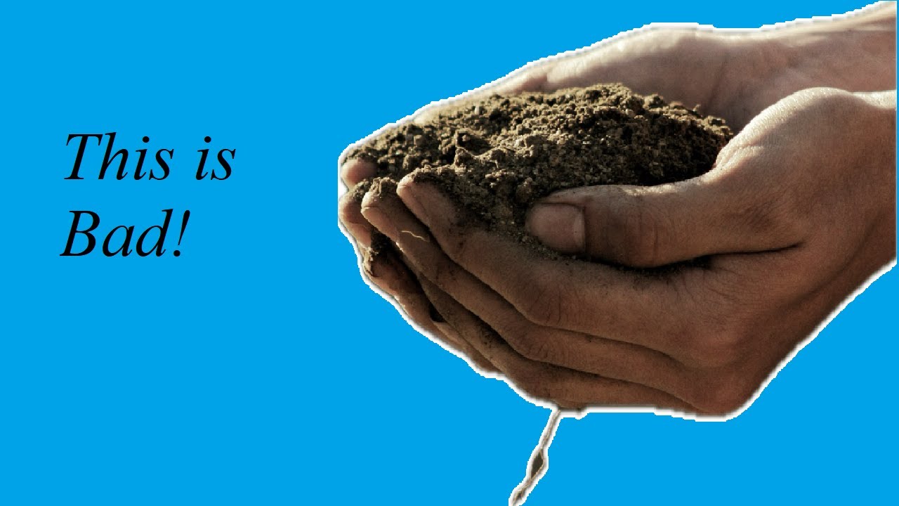 This is Outrageous - YouTube