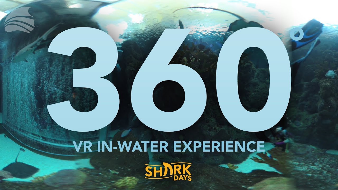 VR 360 In-Water Experience! - YouTube