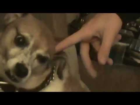 I know WHO FARTED...it was ANNIE - YouTube