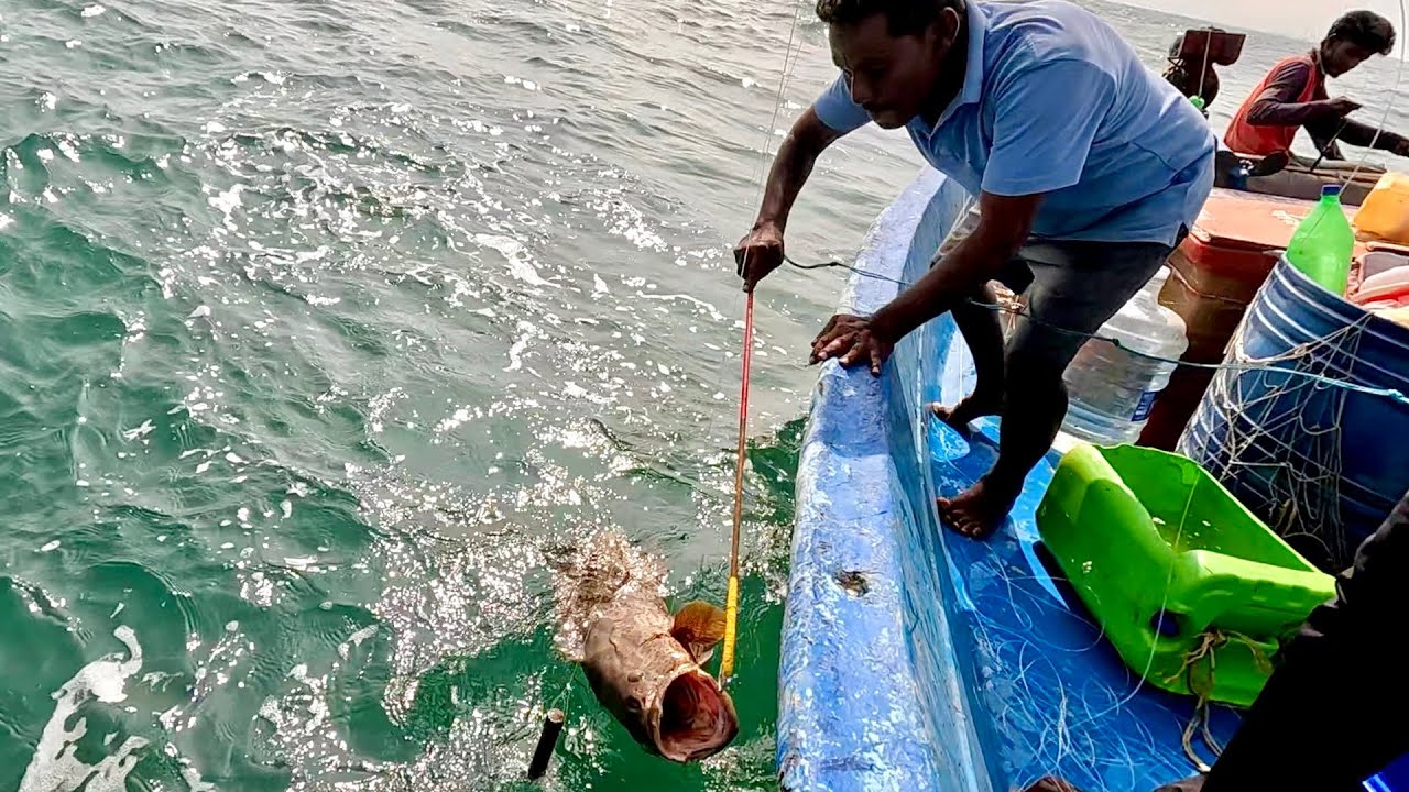 Catching Grouper Fish in the Deep Sea #fishing #fishingvideo # ...