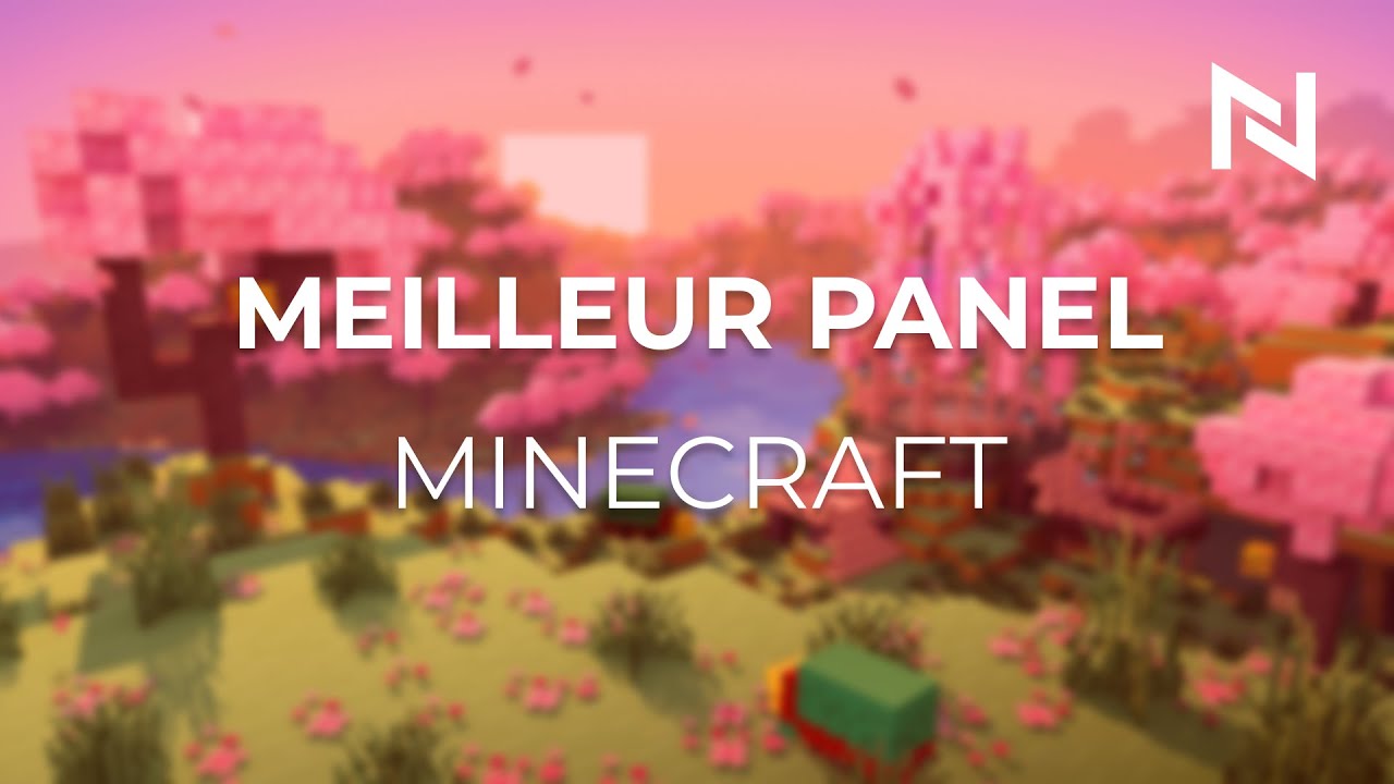 NOTRE PANEL MINECRAFT - YouTube