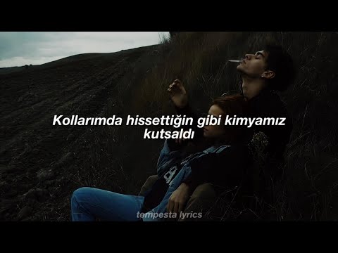 Alec Benjamin - The way you felt (Türkçe çeviri)