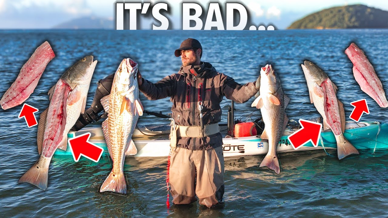 The ONLY Bad Thing About Fishing - Do You Agree? - YouTube