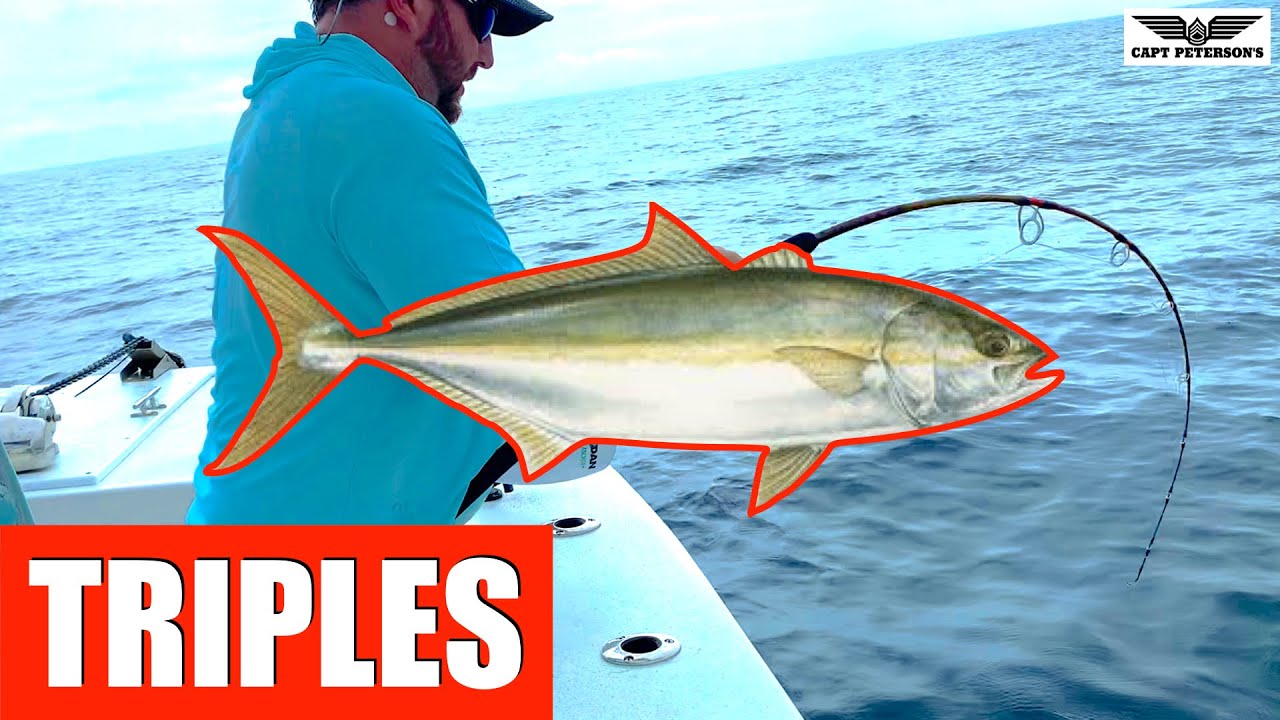 Catching THREE FISH at ONCE! - YouTube