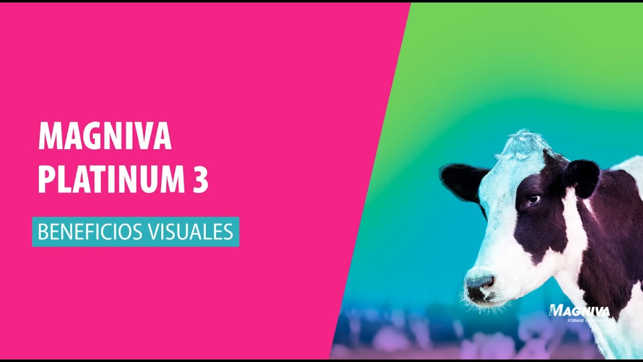 MAGNIVA PLATINUM 3 | Beneficios visuales - YouTube